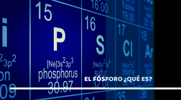 fosforo ¿Qué es?, beneficios, propiedades y contraindicaciones