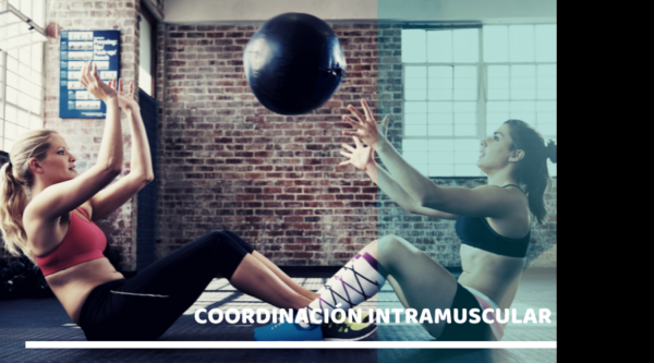 Coordinación intramuscular e intermuscular | MyFitBody